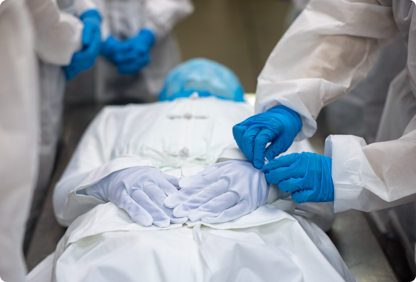 Silent Mentor Program - Universiti Malaya